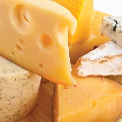 Careers | First Choice Ingredients - a DSM company